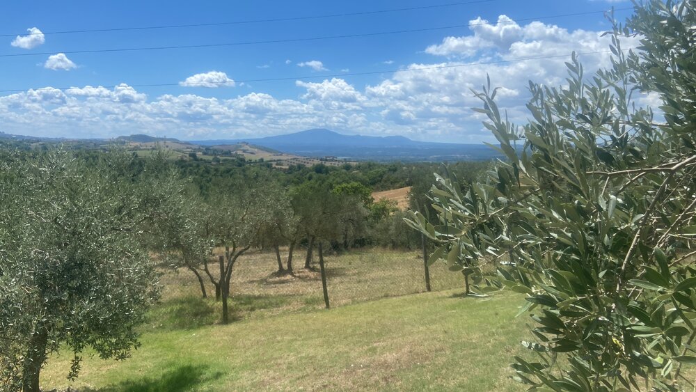 GREENHEART VACATION - Vakantiehuizen te huur in Italië